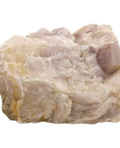 Welcome to Amoda Group